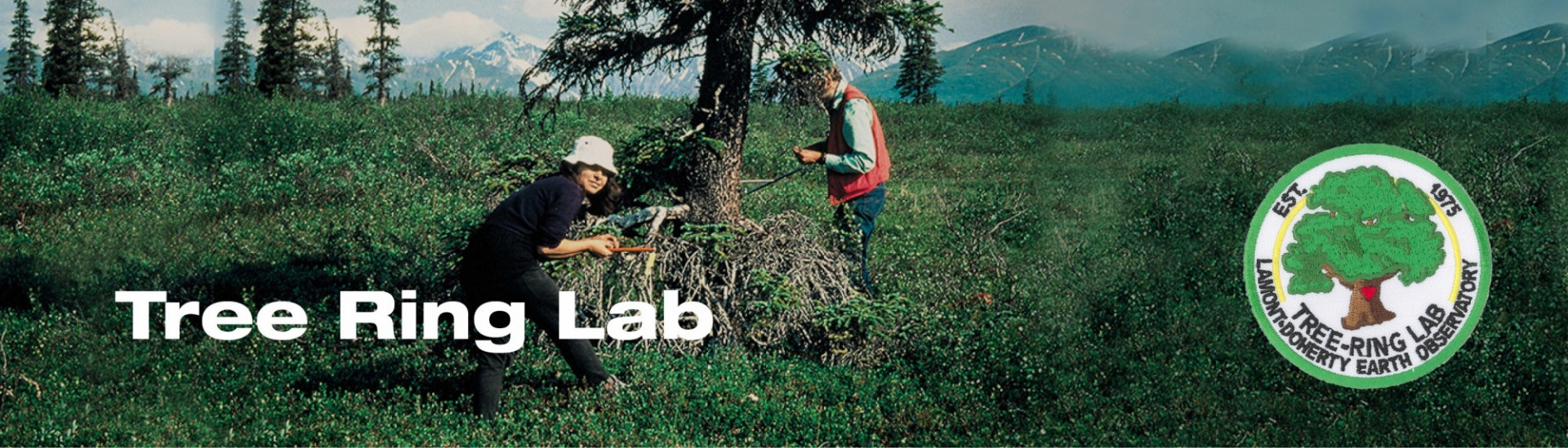 Tree Ring Lab | Lamont-Doherty Earth Observatory